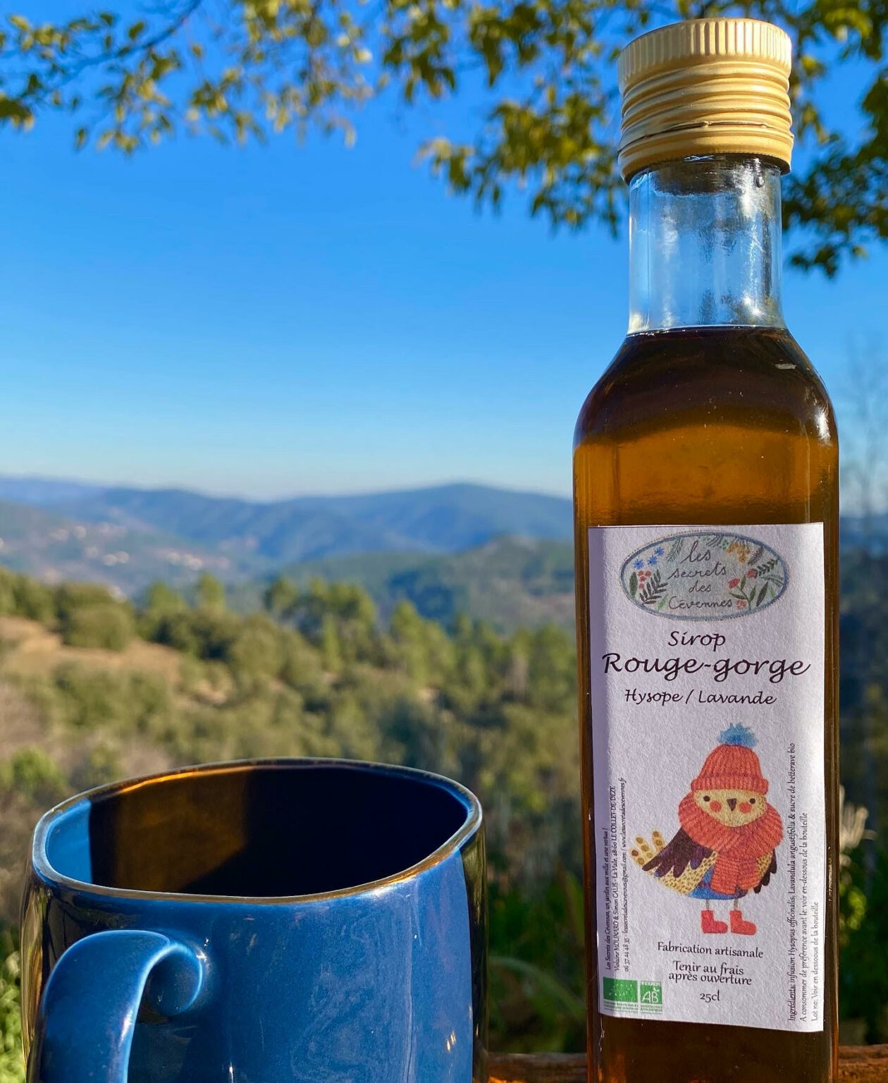 Sirop « Le rouge-gorge» à l'Hysope et à la Lavande - 25cl - Les Secrets ...